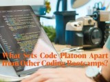 What Sets Code Platoon Apart From Other Coding Bootcamps